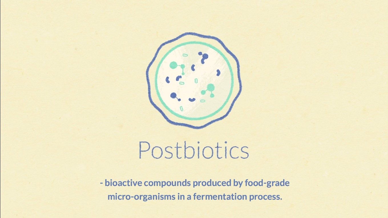 Postbiotics and gut permeability | gutmicrobiotaforhealth
