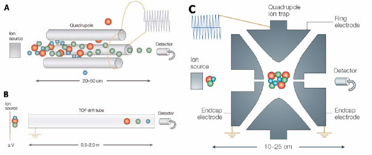 The basics of mass spectrometry | gutmicrobiotaforhealth
