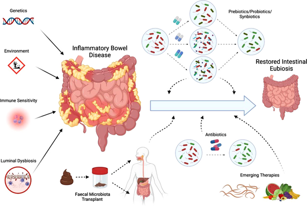 بایگانی‌های Articles | gutmicrobiotaforhealth