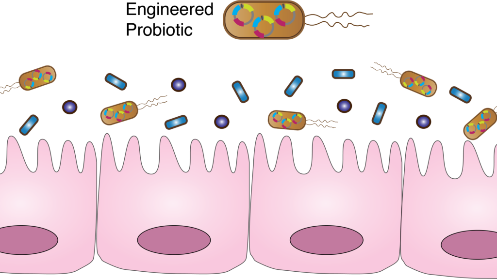 بایگانی‌های Concepts | gutmicrobiotaforhealth