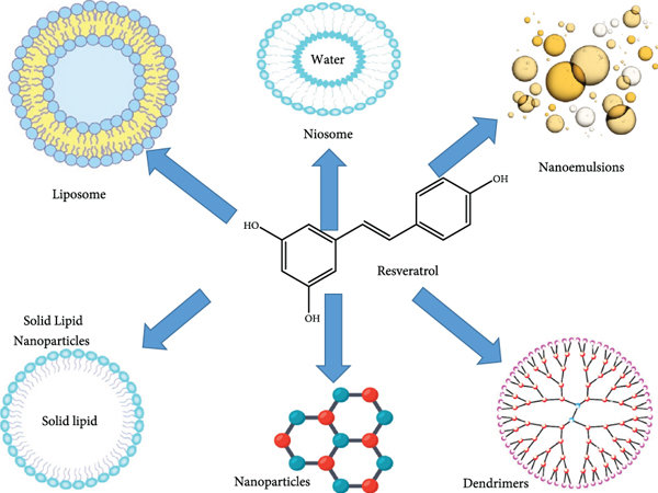 Nano encapsulation of probiotic strains as a strategy to increase the ...