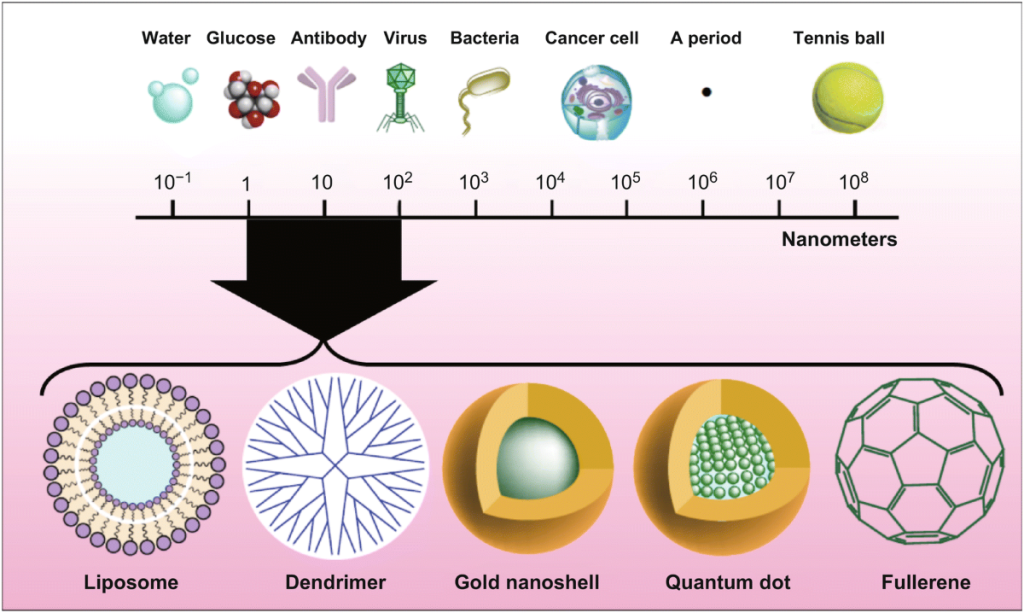 Nano encapsulation of probiotic strains as a strategy to increase the ...