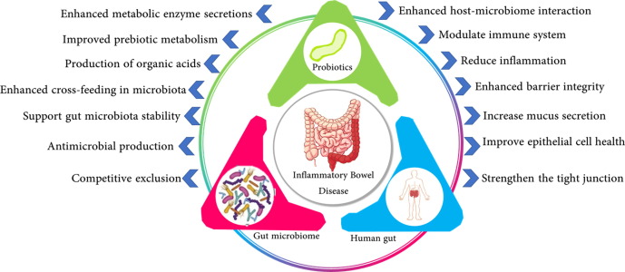 Inflammatory bowel disease | gutmicrobiotaforhealth