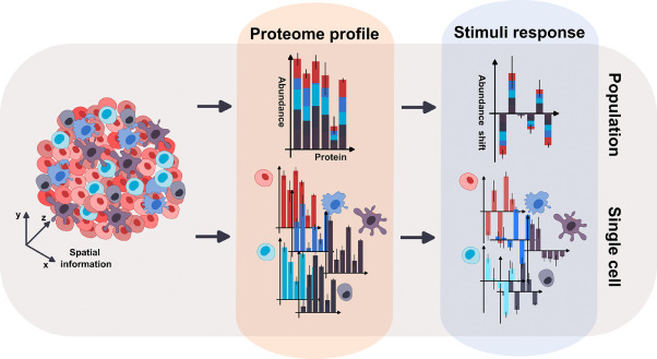 Understanding Proteomics: A Comprehensive Overview | gutmicrobiotaforhealth